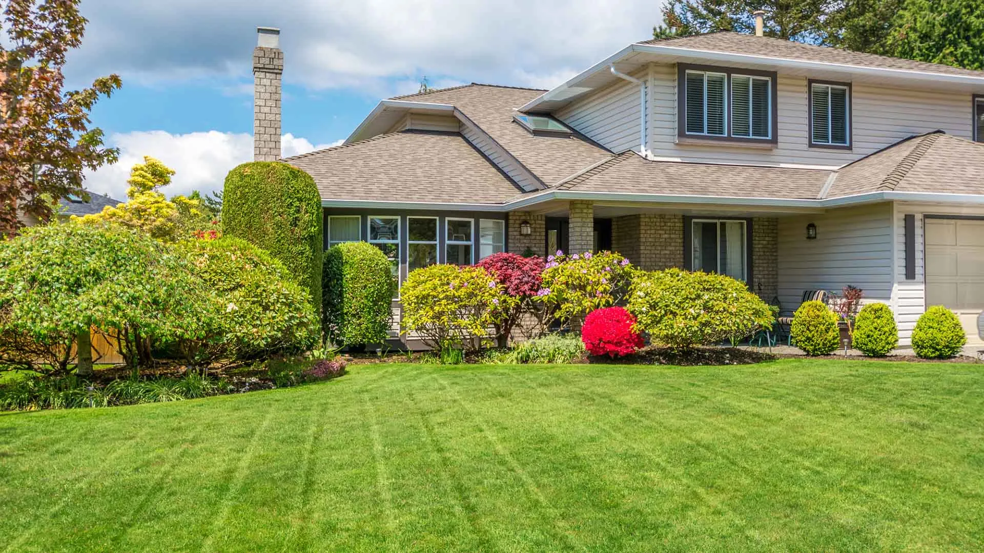 Fort Collins Shrub Trimming & Removal | Diamond Tree Company